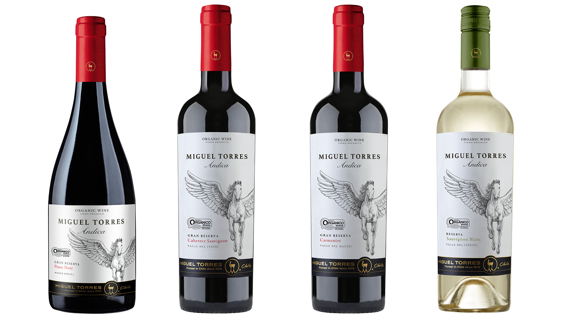 ÁNDICA – Vinhos orgânicos que expressam o melhor da natureza - Qualimpor